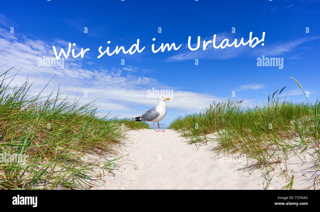 We are on vacation Stock Photo - Alamy