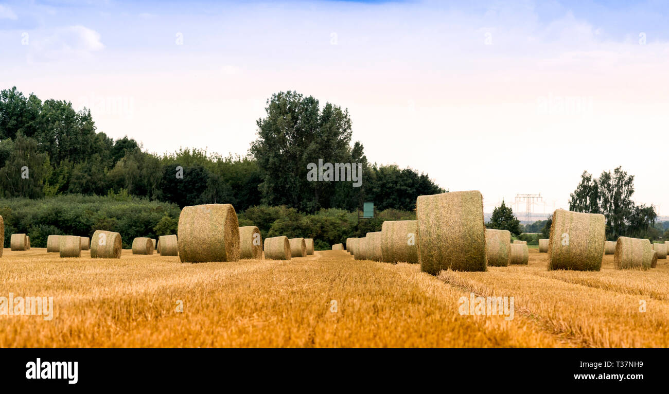 Empty stable straw hi-res stock photography and images - Alamy