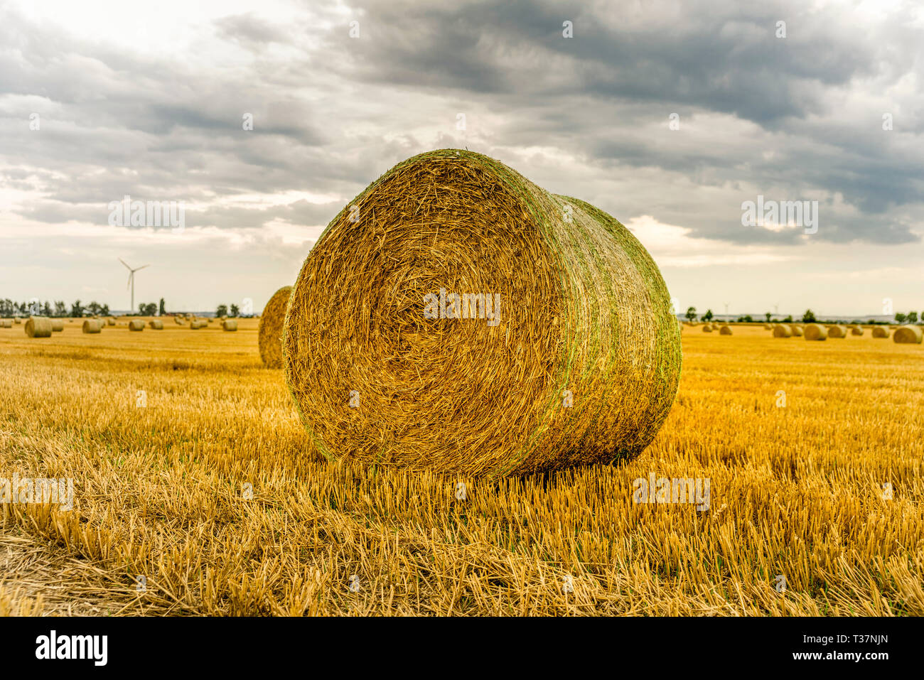 Empty stable straw hi-res stock photography and images - Alamy