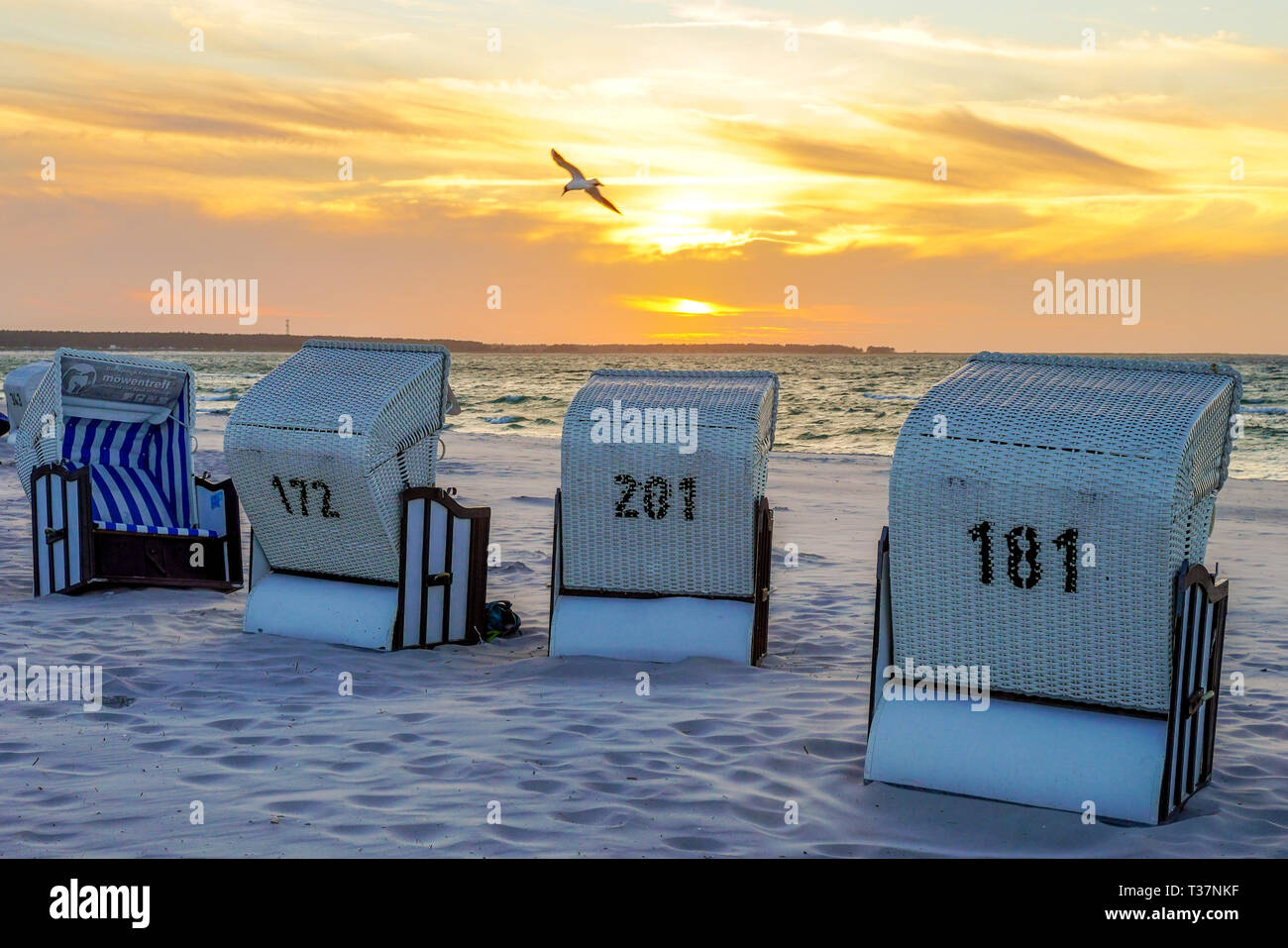 Beach at the Baltic Sea in Germany Stock Photo - Alamy