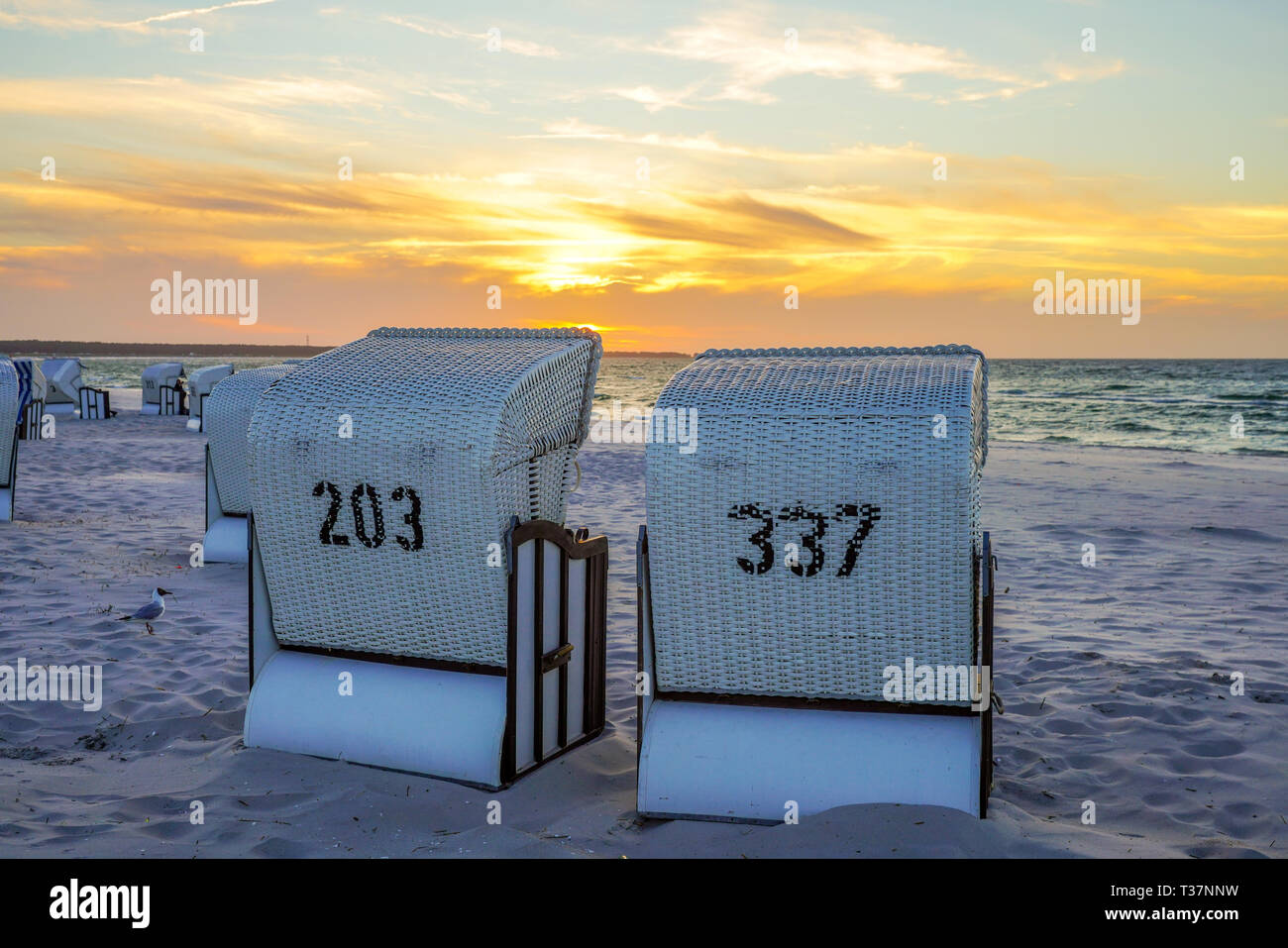 Beach at the Baltic Sea in Germany Stock Photo - Alamy