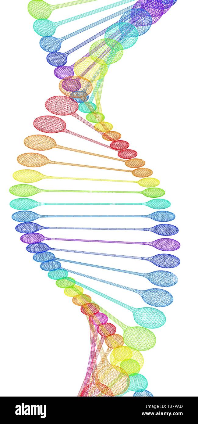 DNA multi color isolated on white background. 3d illustration Stock ...
