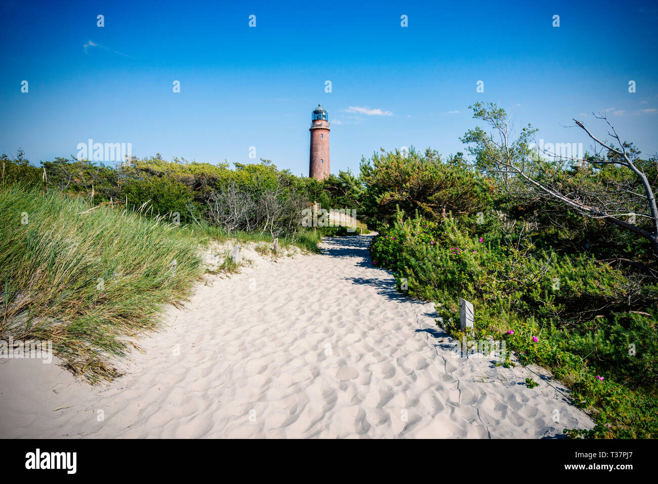 West beach of Prerow and lighthouse Stock Photo - Alamy
