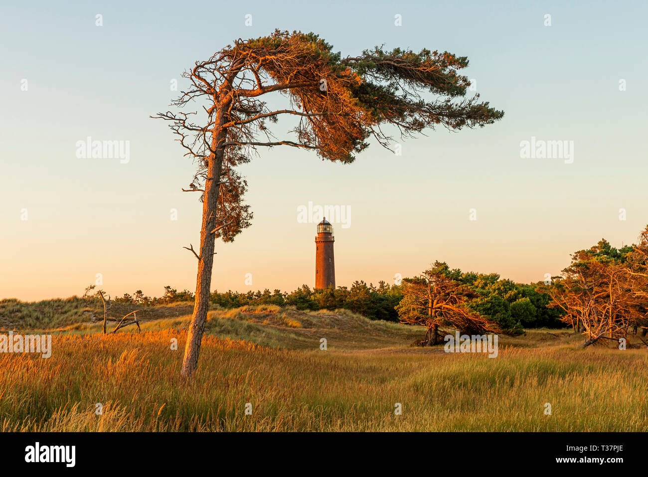 West beach of Prerow and lighthouse Stock Photo - Alamy