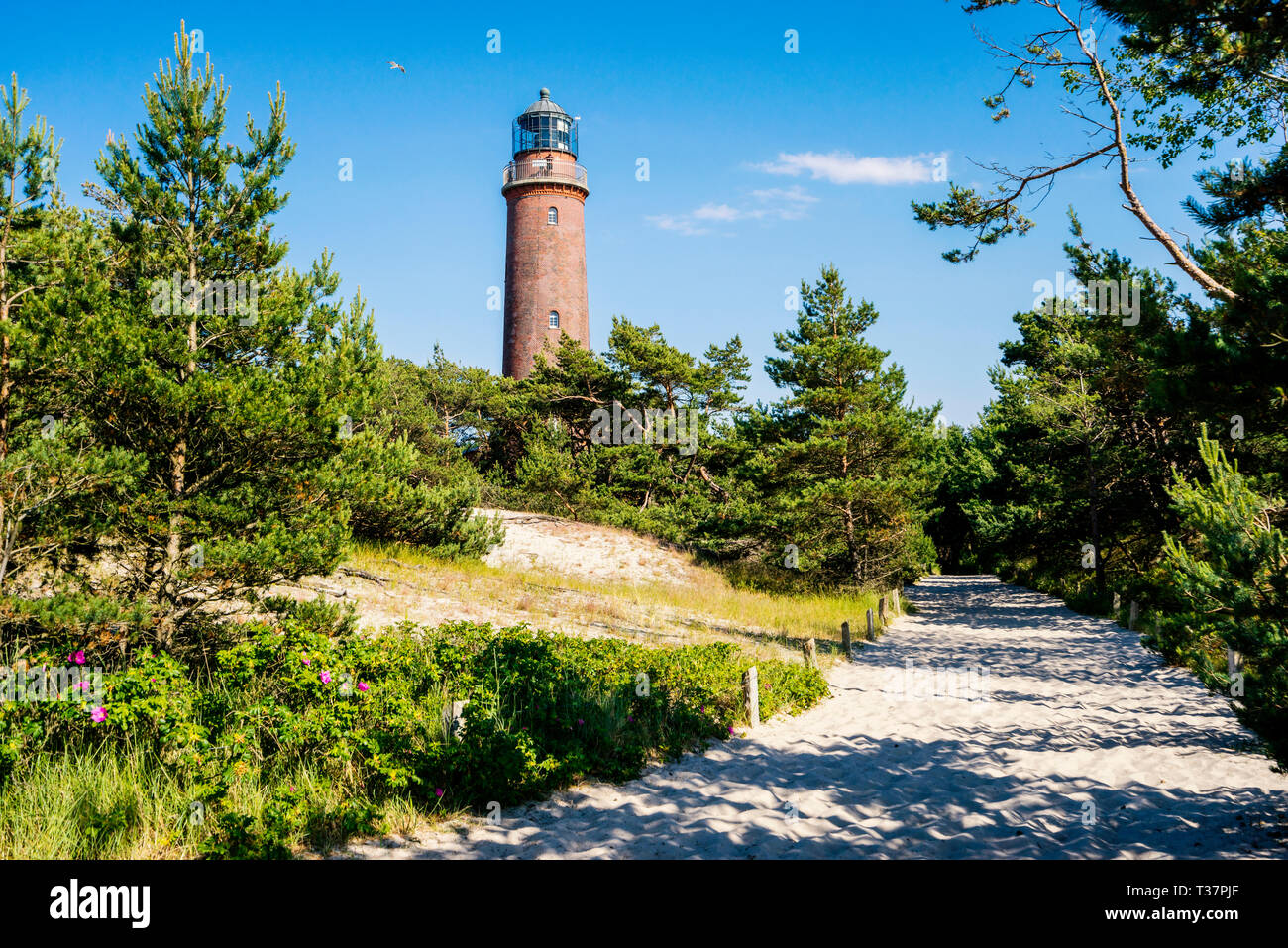 West beach of Prerow and lighthouse Stock Photo - Alamy
