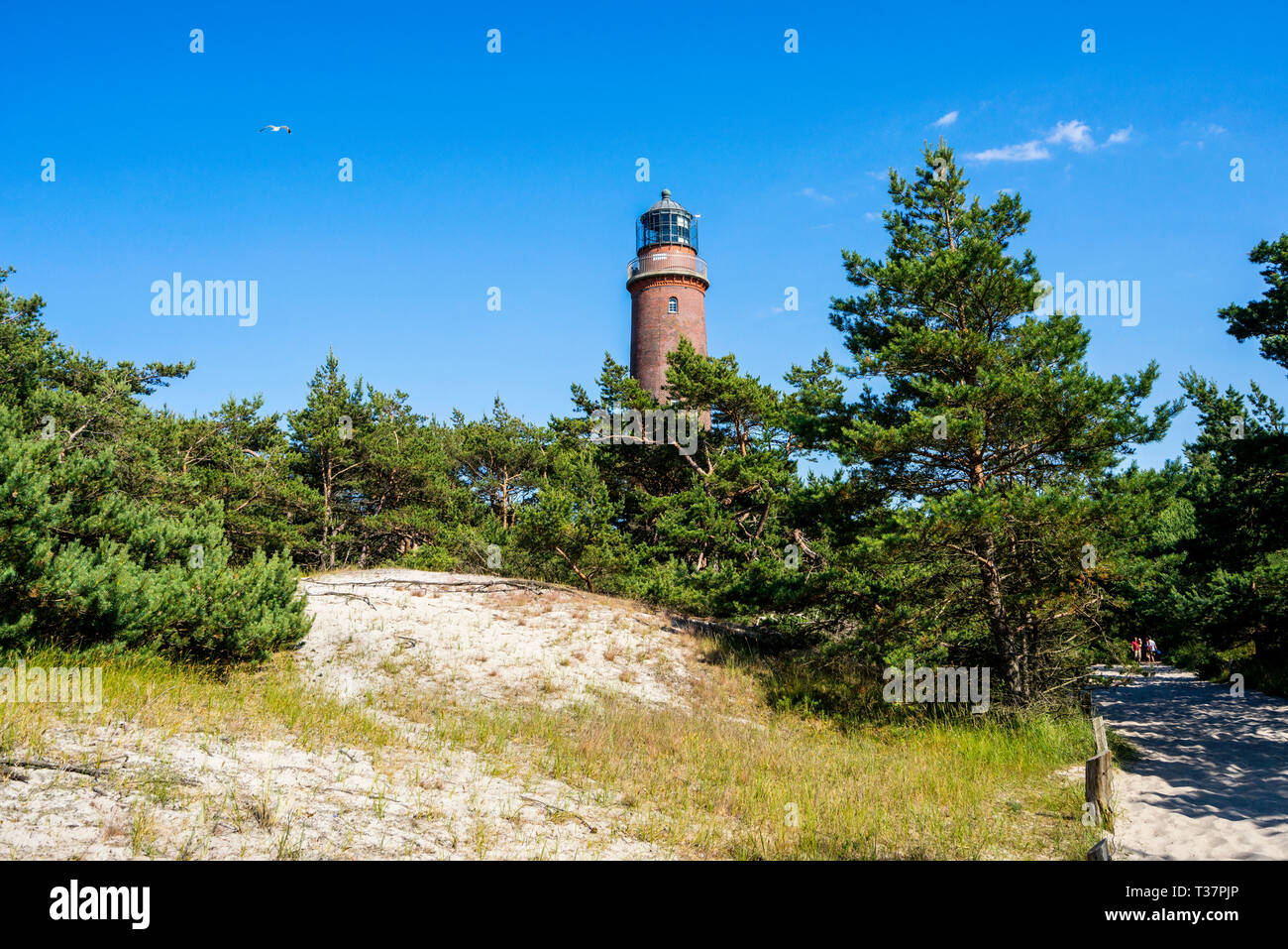West beach of Prerow and lighthouse Stock Photo - Alamy