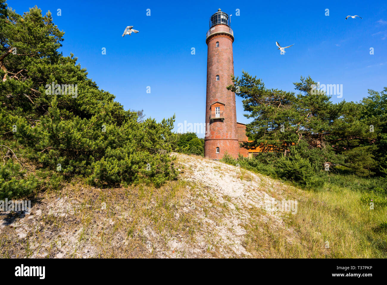 West beach of Prerow and lighthouse Stock Photo - Alamy