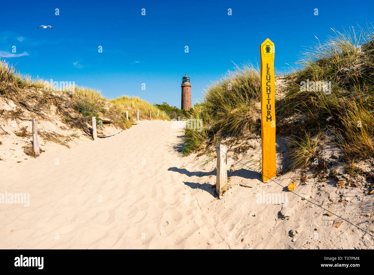 West beach of Prerow and lighthouse Stock Photo - Alamy