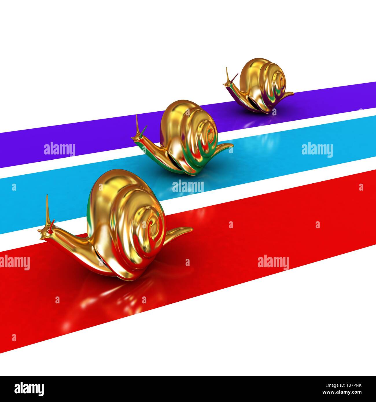 Racing snails hi-res stock photography and images - Alamy