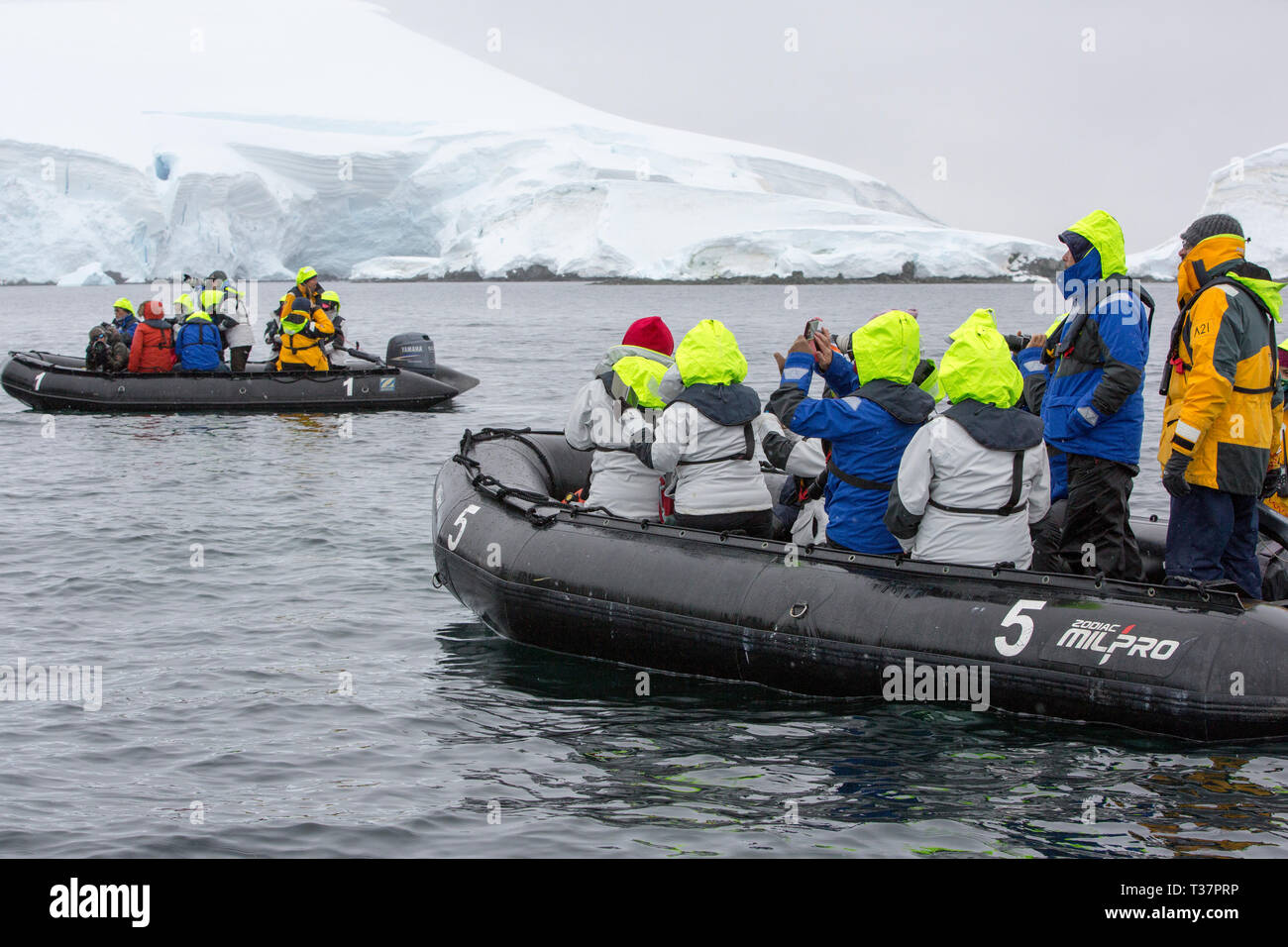 Tourists from an Antarctic cruise ship on a zodiac cruise in Wilhelmina ...