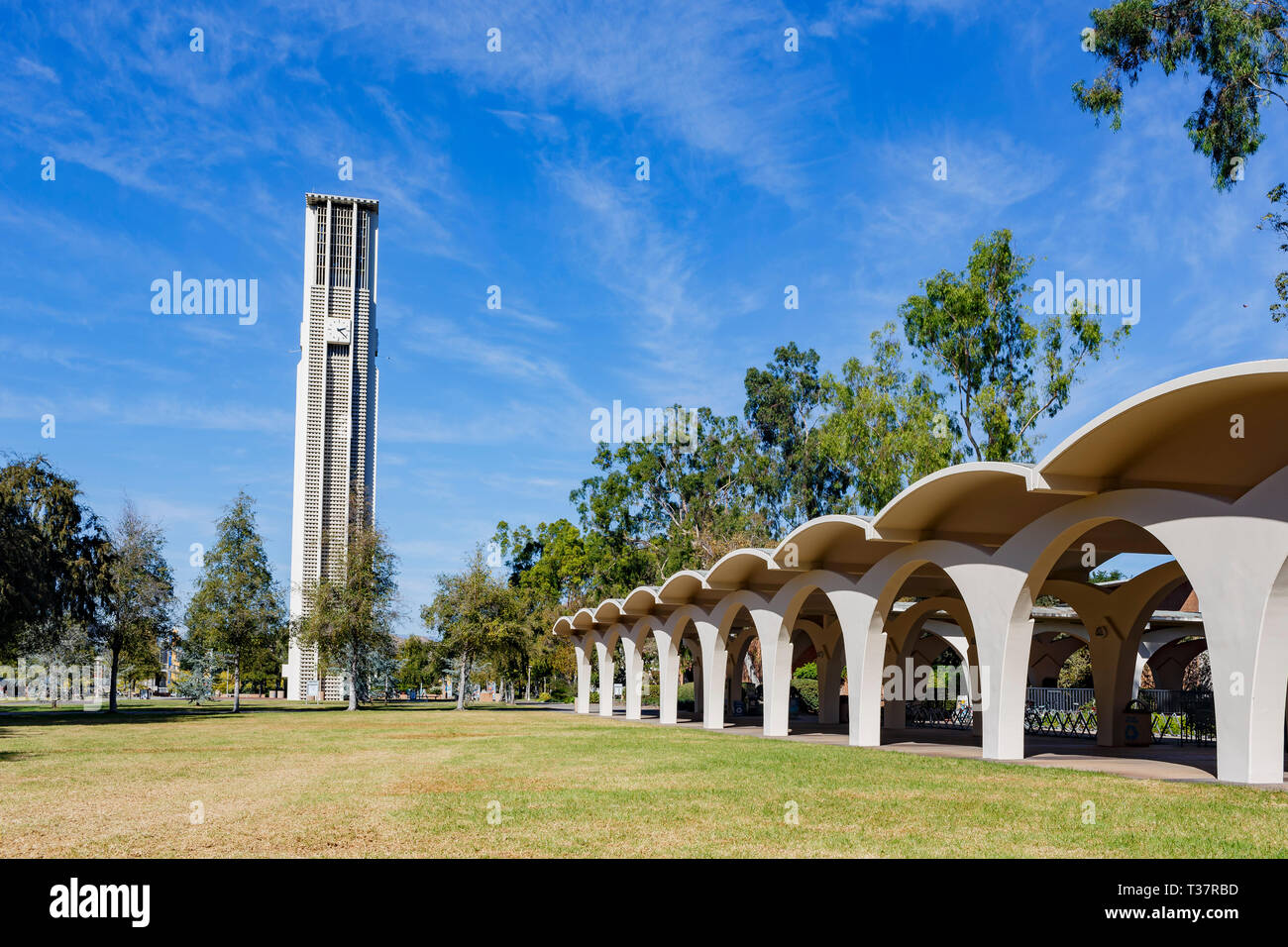 Afternoon sunny view of the Bell Tower of UC Riverside at California ...