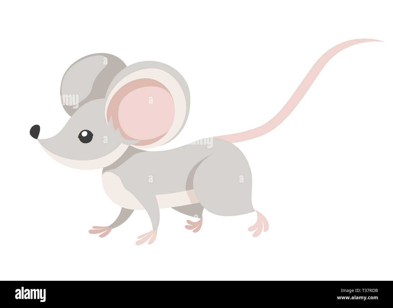 Little Gray Mouse