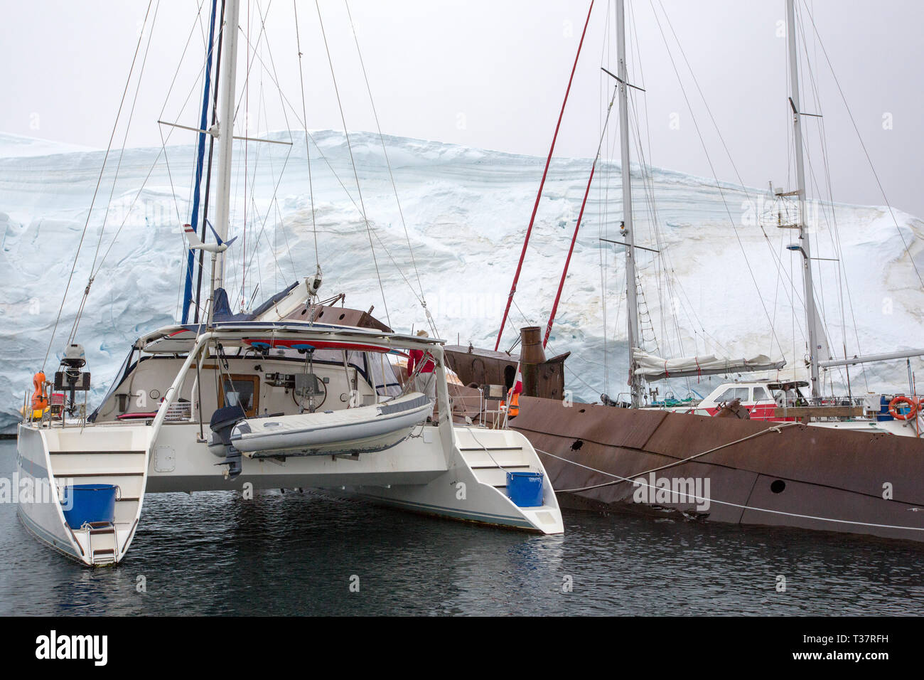 Yachts moored to an old shiprwrecked whaleing boat in Wilhelmina Bay ...