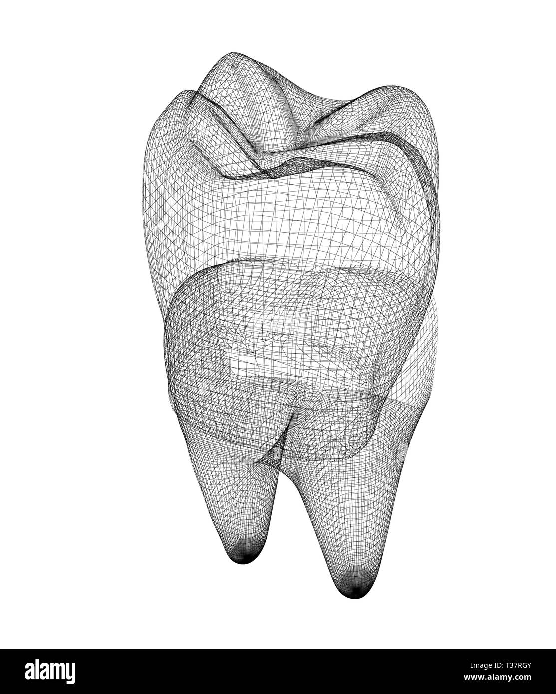 Mesh model of tooth. 3d illustration Stock Photo - Alamy