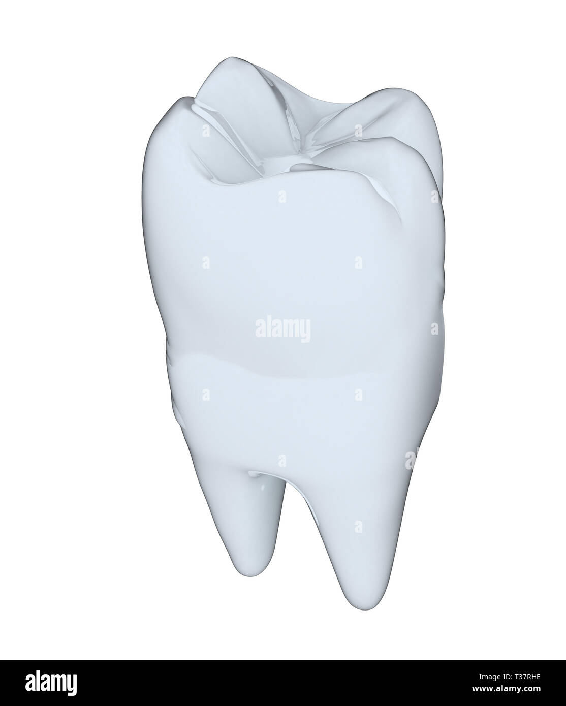 Tooth. 3d illustration Stock Photo - Alamy