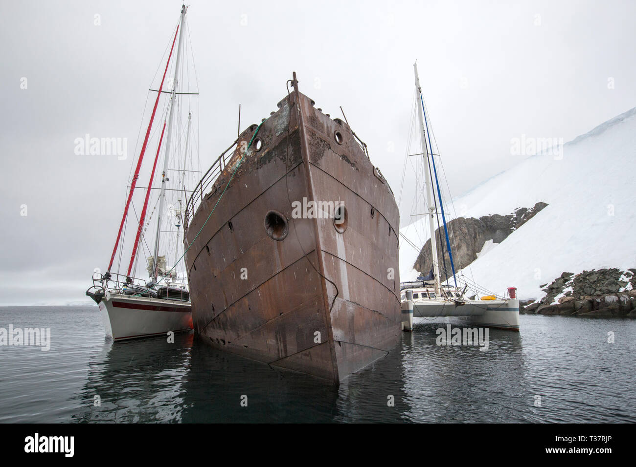 Yachts moored to an old shiprwrecked whaleing boat in Wilhelmina Bay ...