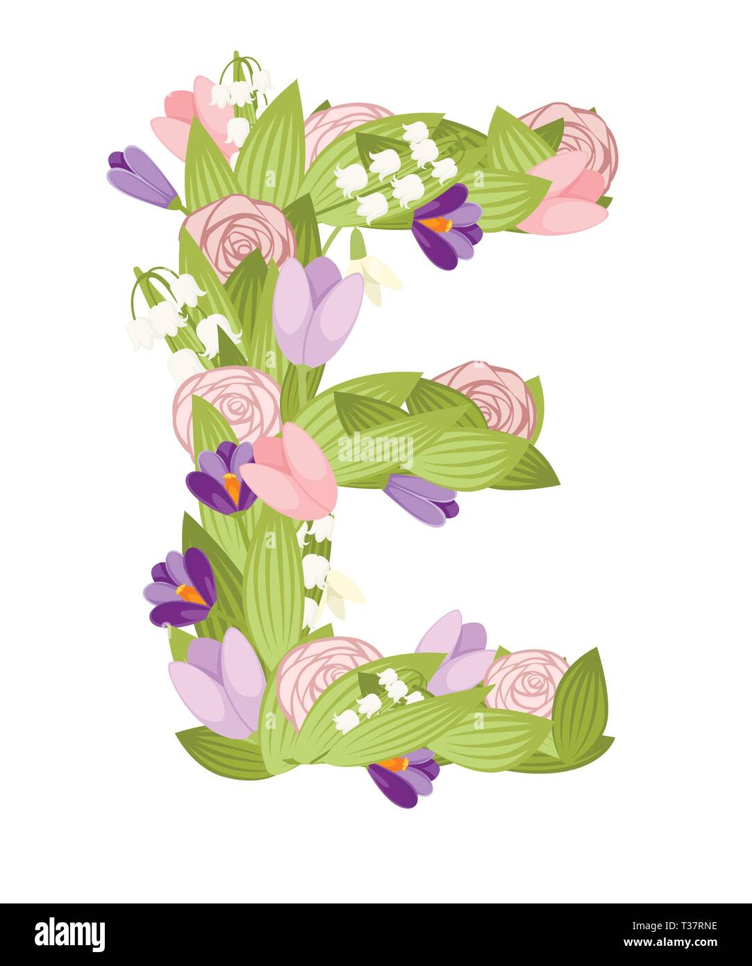 Floral Font Letter E Stock Photos & Floral Font Letter E Stock Images ...