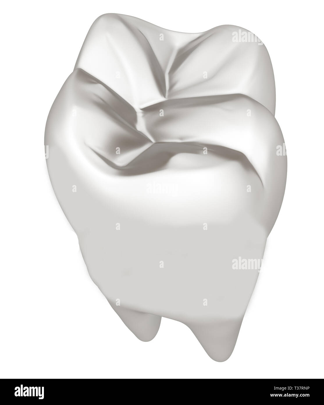 Tooth. 3d illustration Stock Photo - Alamy