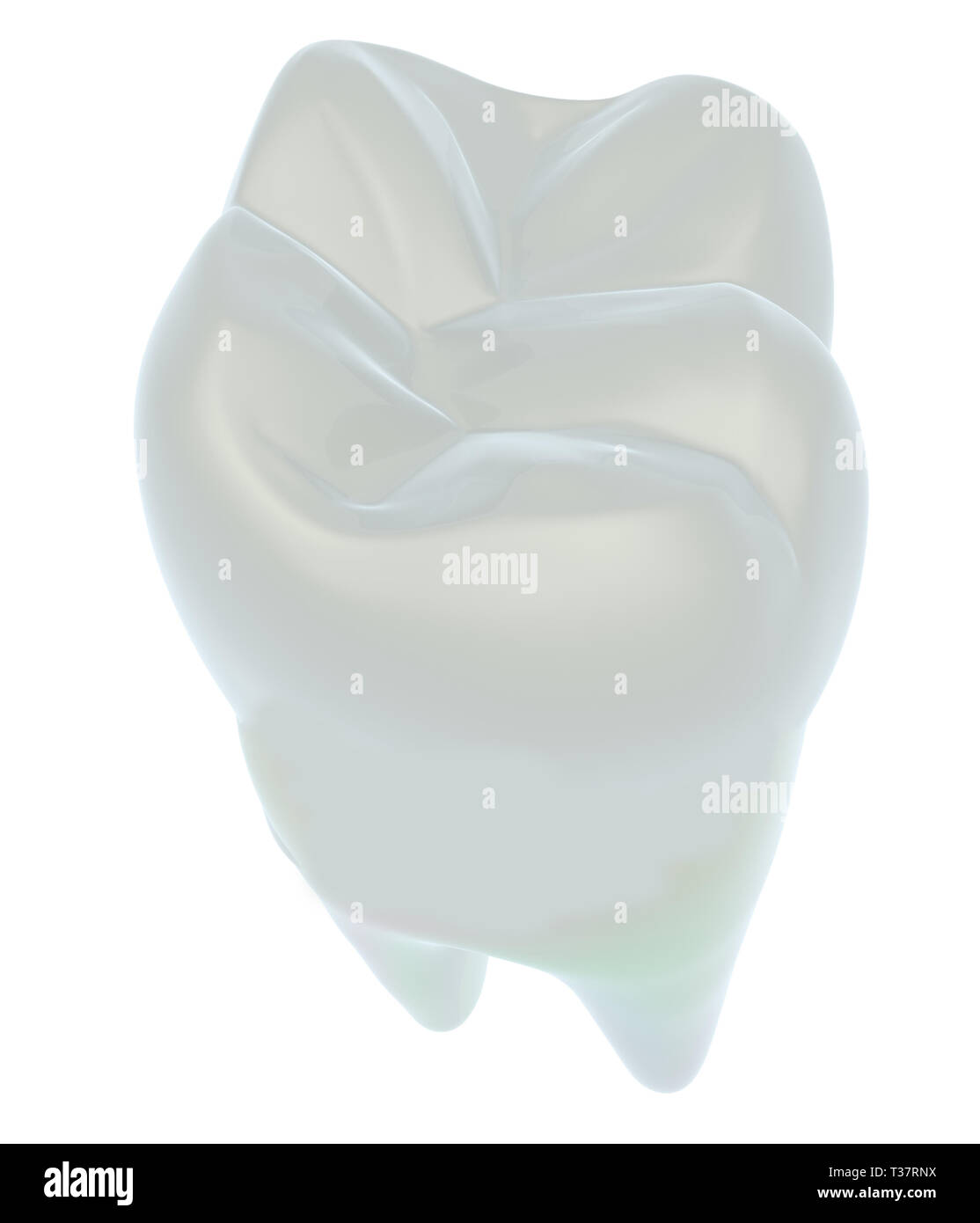 Tooth. 3d illustration Stock Photo - Alamy