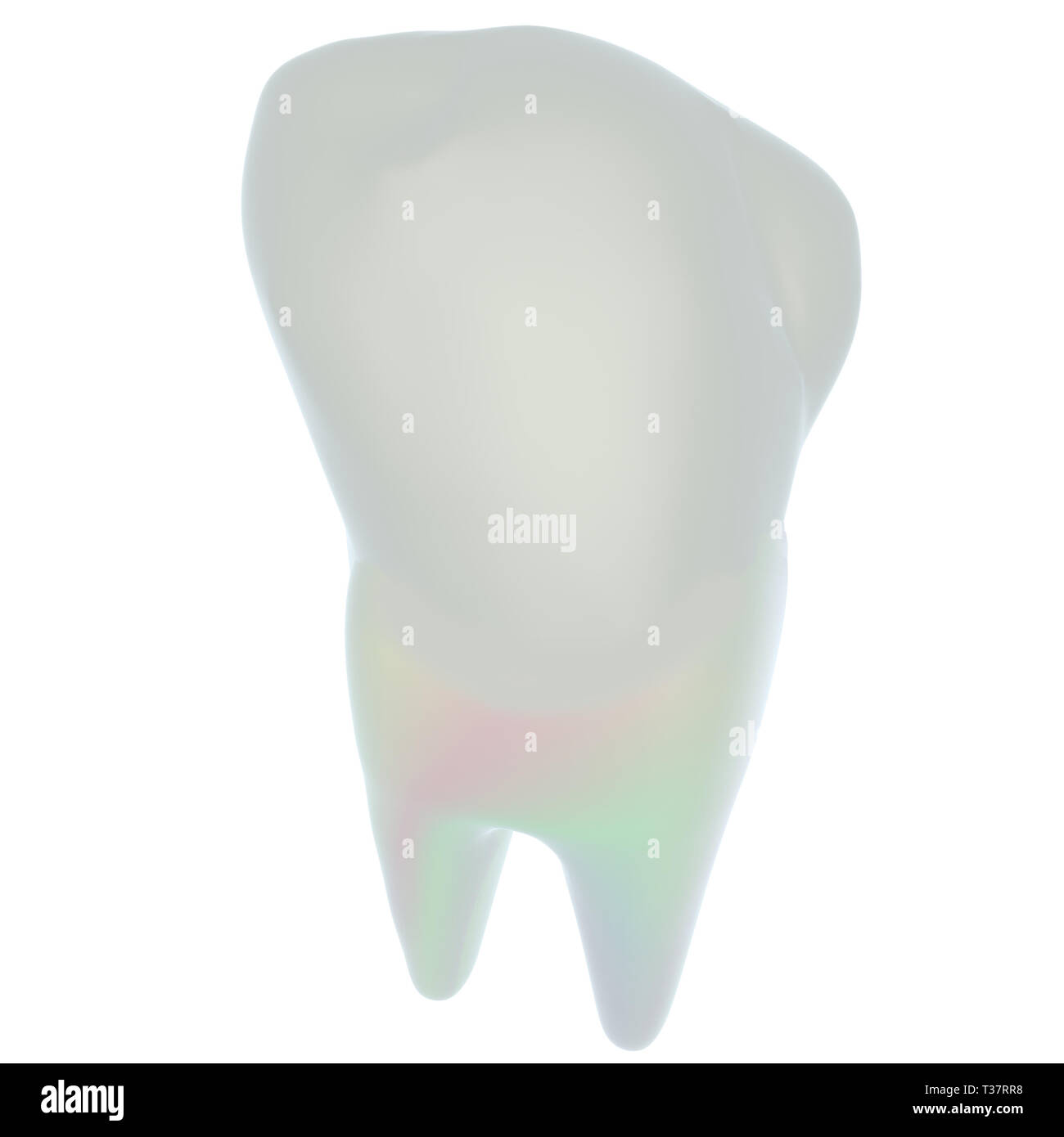 Tooth. 3d illustration Stock Photo - Alamy