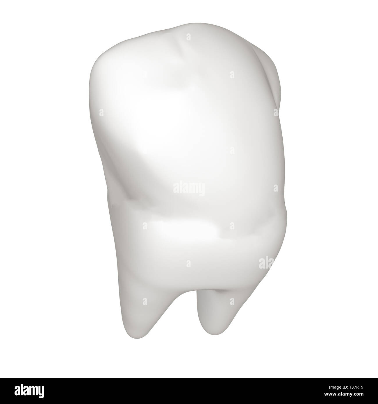 Tooth. 3d illustration Stock Photo - Alamy