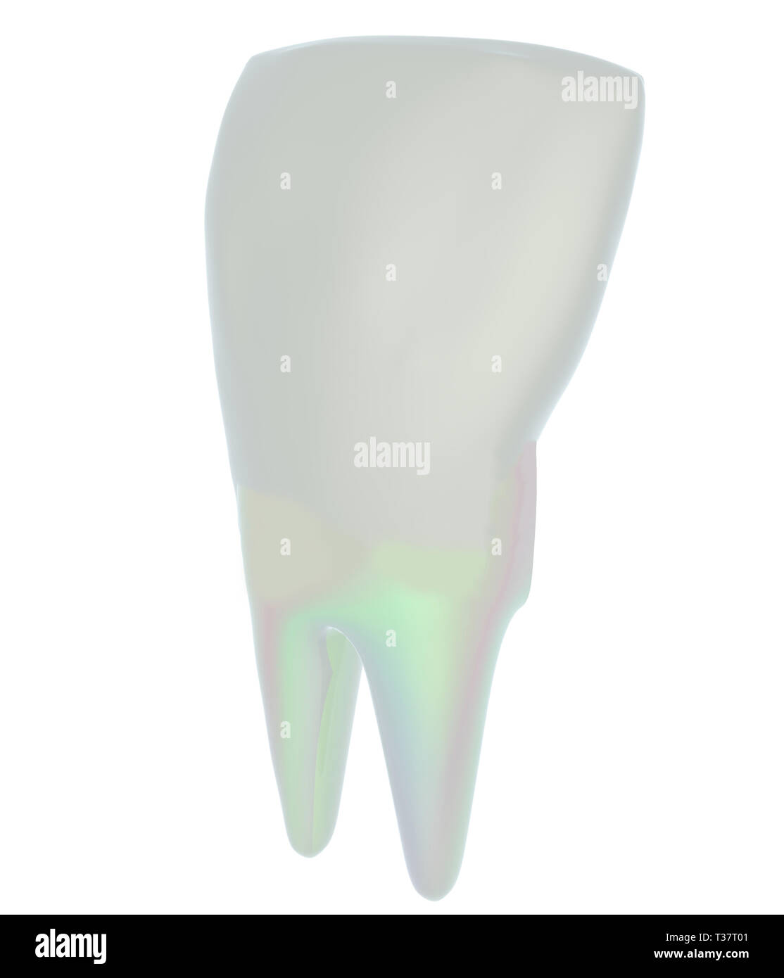 Tooth. 3d illustration Stock Photo - Alamy