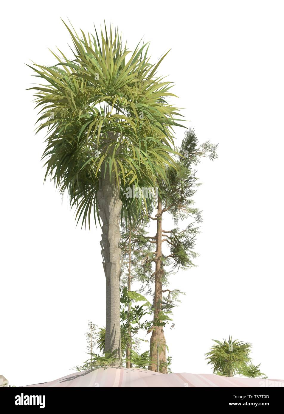 3D illustration trees of the mesozoic era isolated on white background ...
