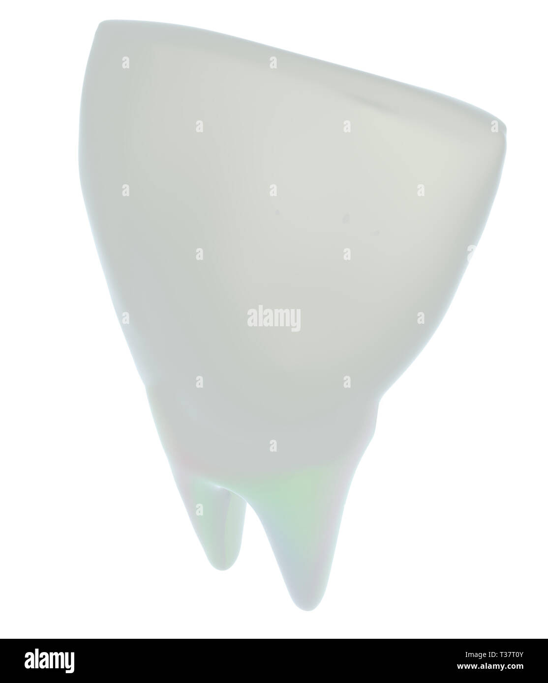 Tooth. 3d illustration Stock Photo - Alamy