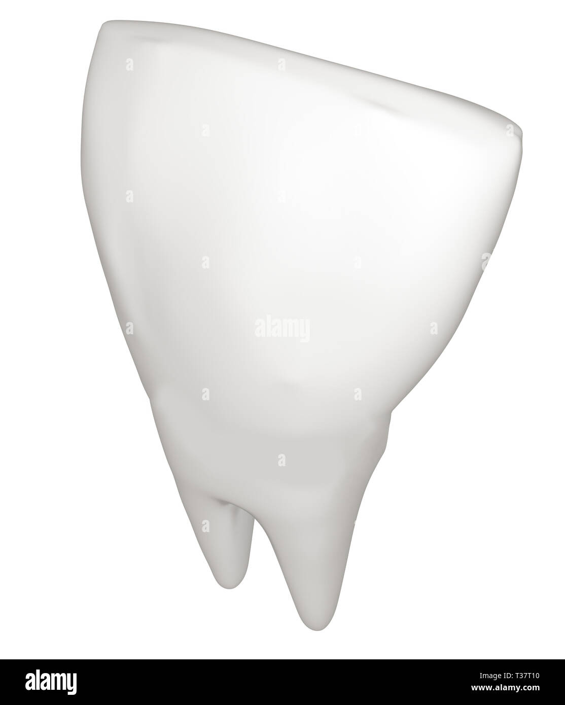 Tooth. 3d illustration Stock Photo - Alamy