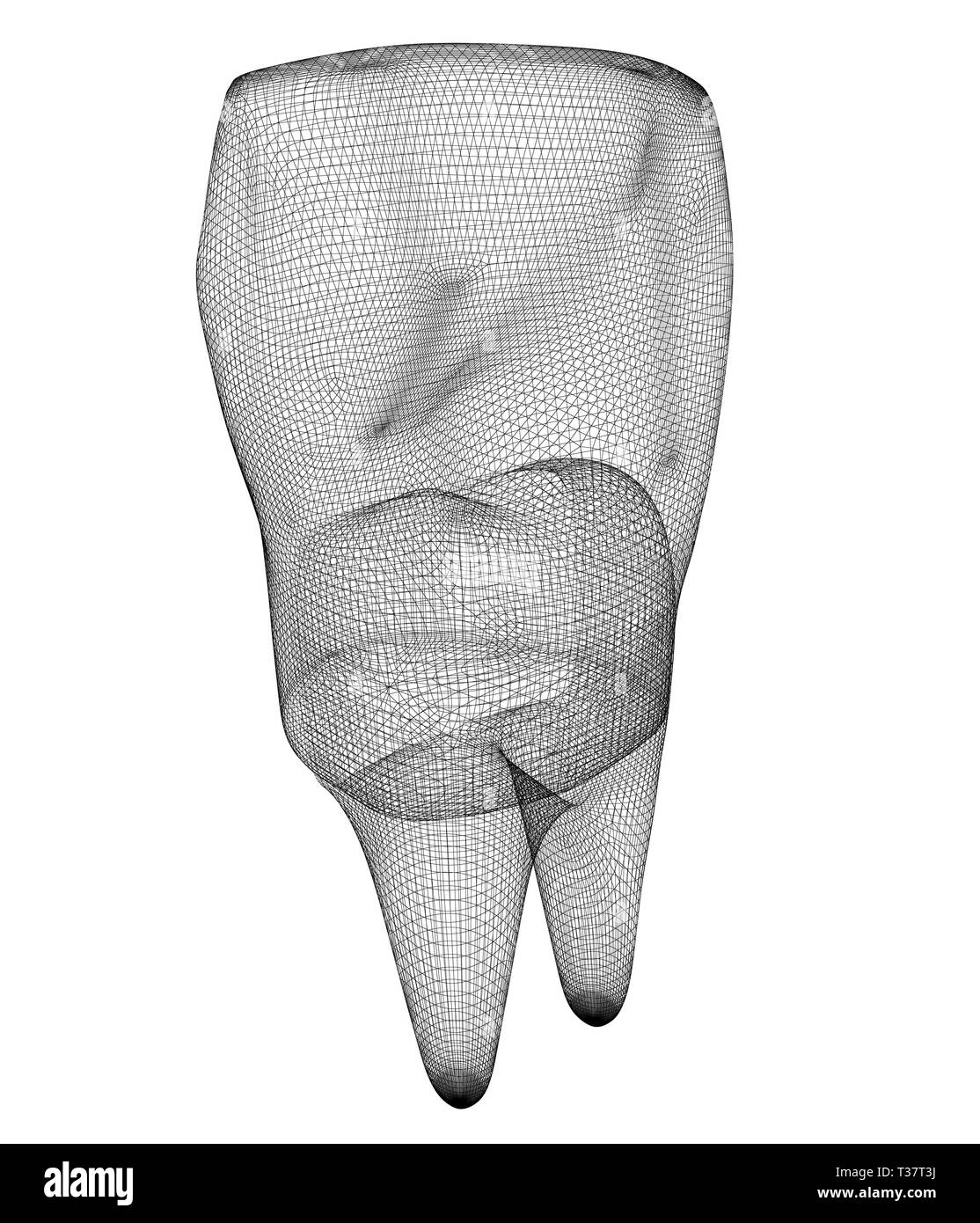 Mesh model of tooth. 3d illustration Stock Photo - Alamy