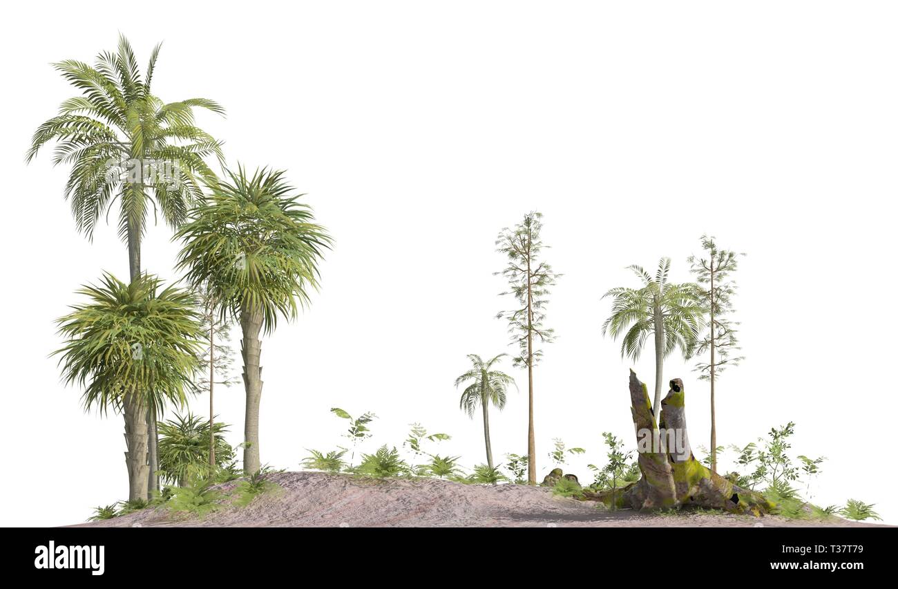 3D illustration trees of the mesozoic era isolated on white background ...