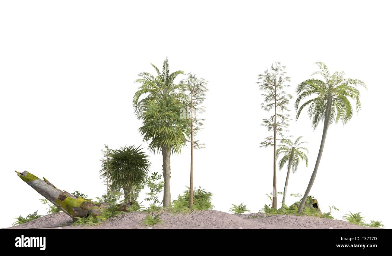 3D illustration trees of the mesozoic era isolated on white background ...