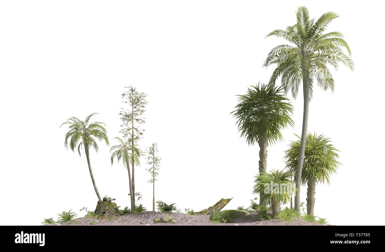 3D illustration trees of the mesozoic era isolated on white background ...