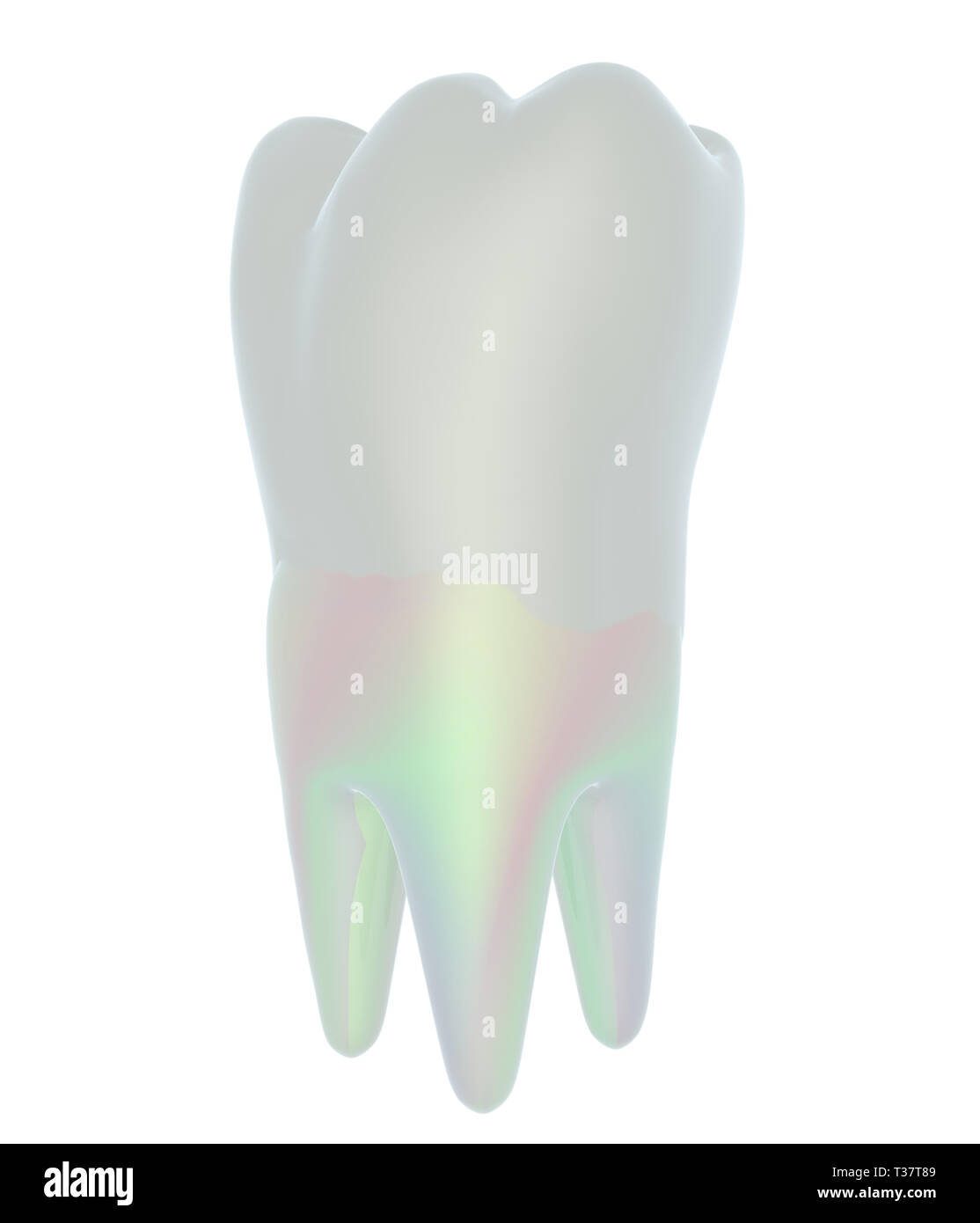 Tooth. 3d illustration Stock Photo - Alamy