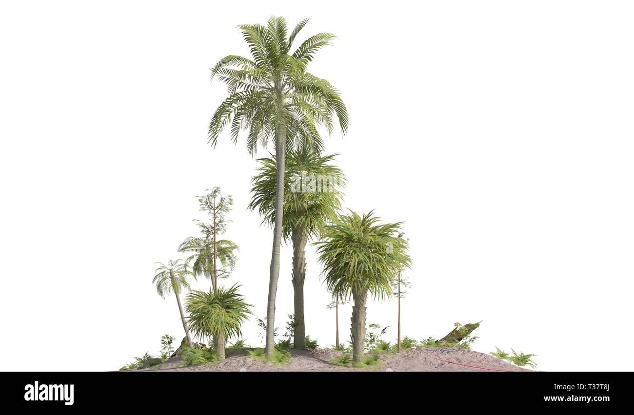 3D illustration trees of the mesozoic era isolated on white background ...