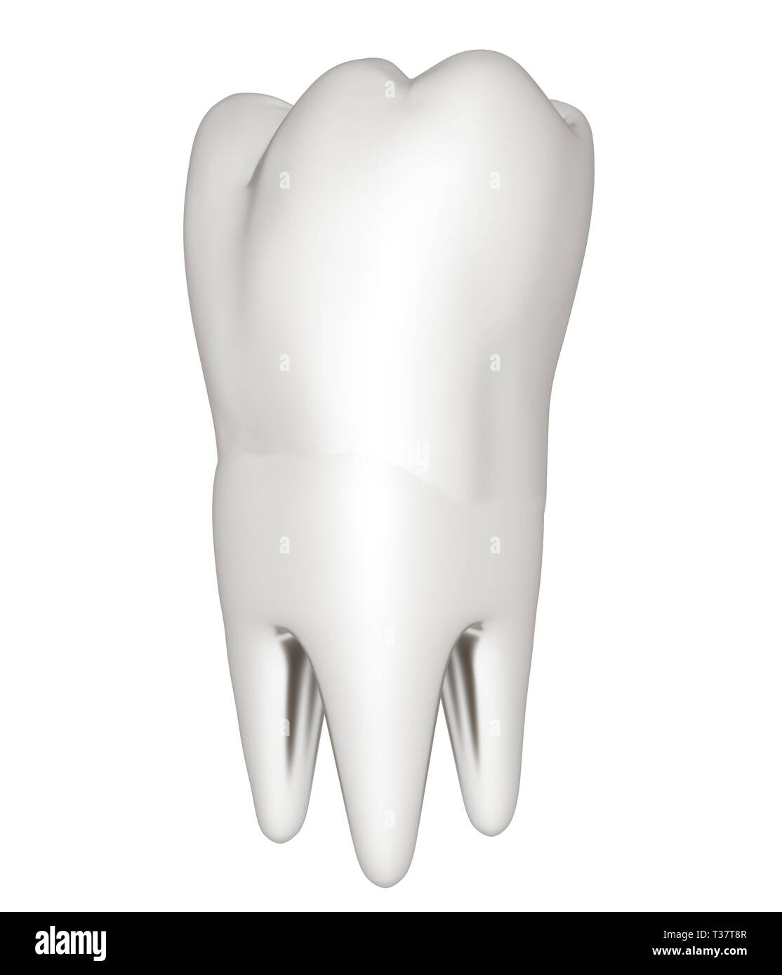Tooth. 3d illustration Stock Photo - Alamy