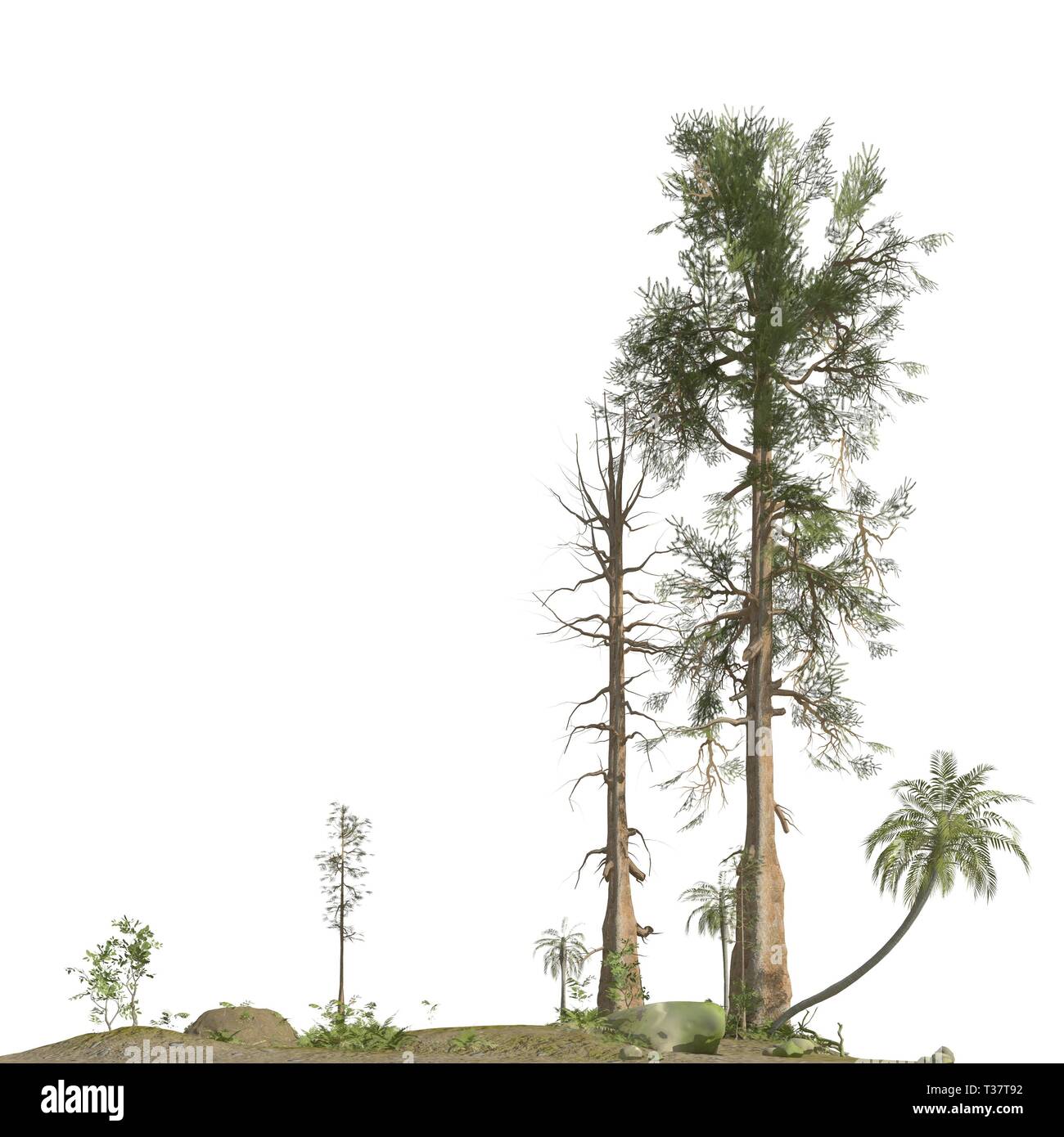 3D illustration trees of the mesozoic era isolated on white background ...