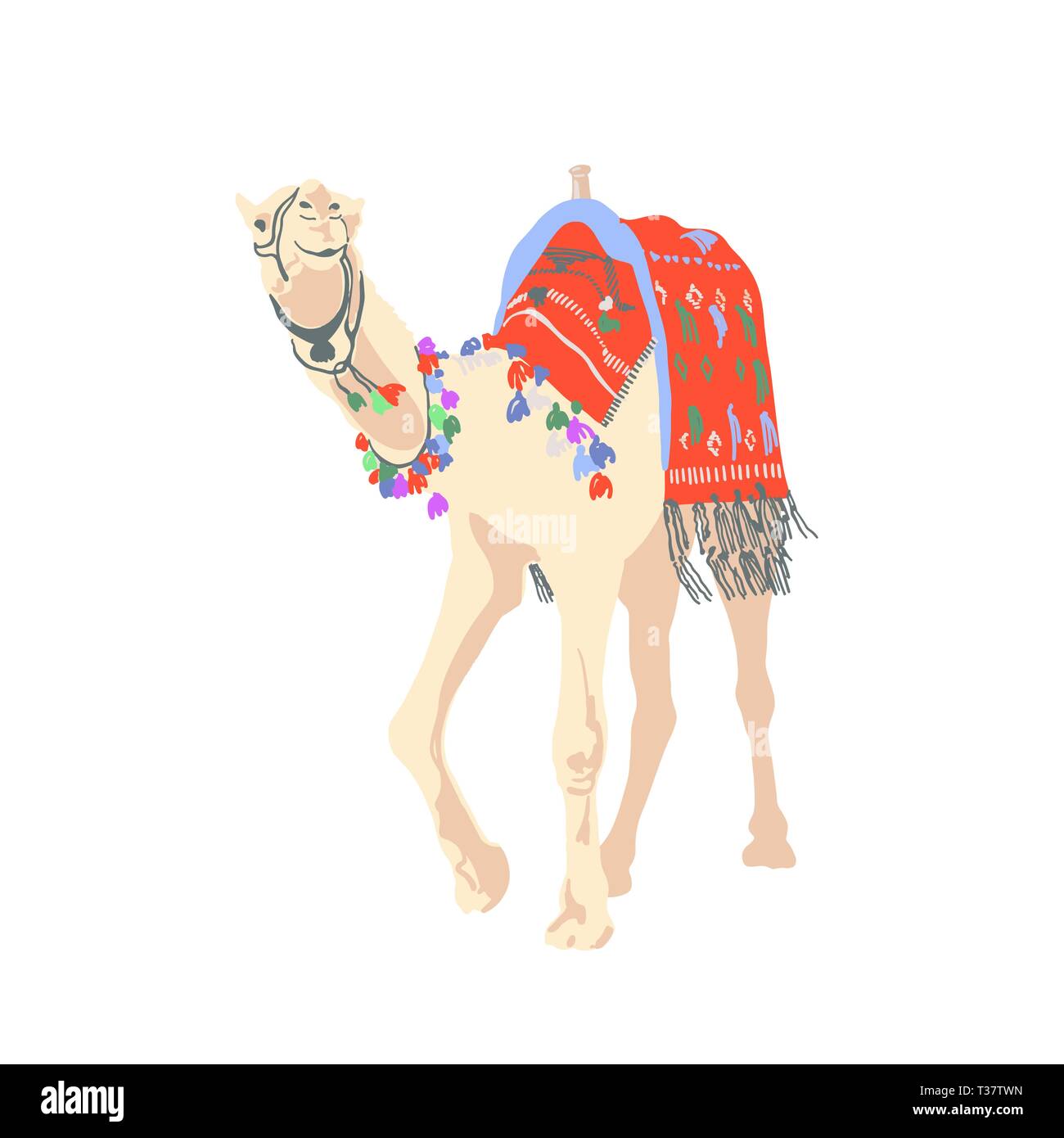 egyptian camel decorated with bright carpets and ornaments in ...