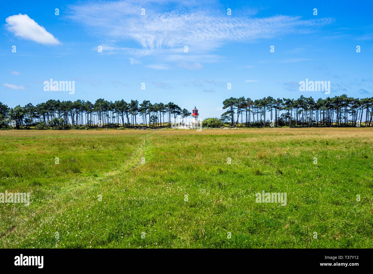 Island Hiddensee, Germany Stock Photo - Alamy