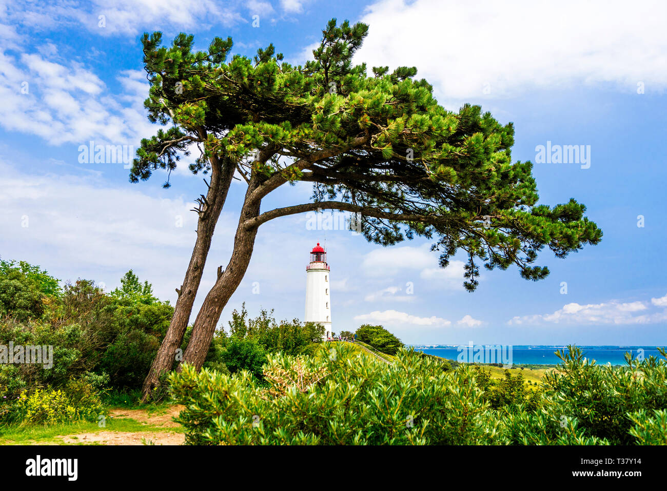 Island Hiddensee, Germany Stock Photo - Alamy