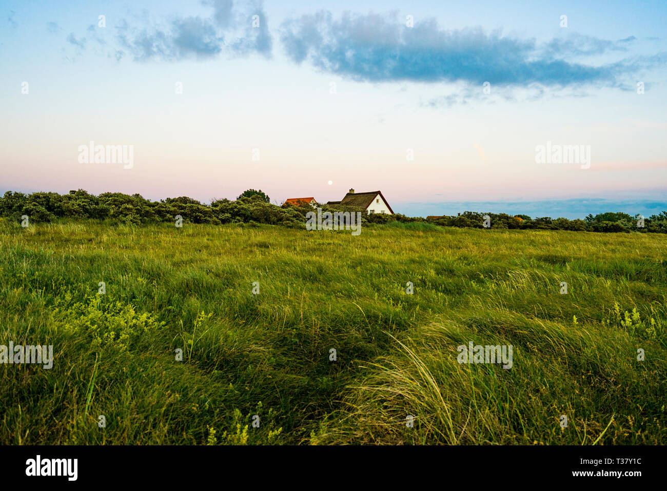 Island Hiddensee, Germany Stock Photo - Alamy