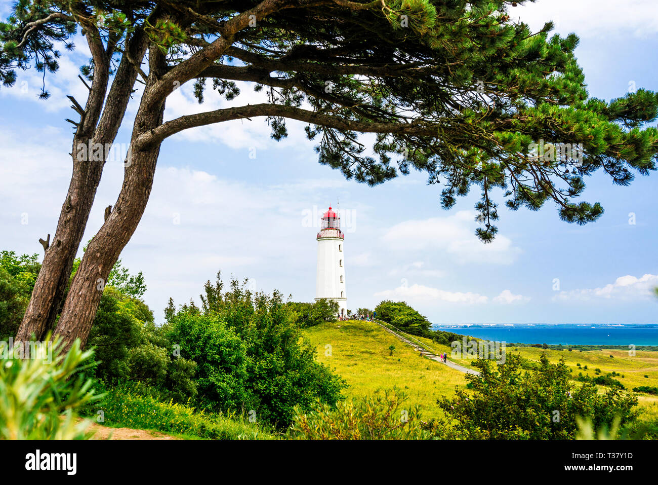 Island Hiddensee, Germany Stock Photo - Alamy