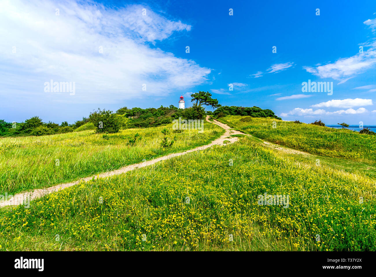 Island Hiddensee, Germany Stock Photo - Alamy