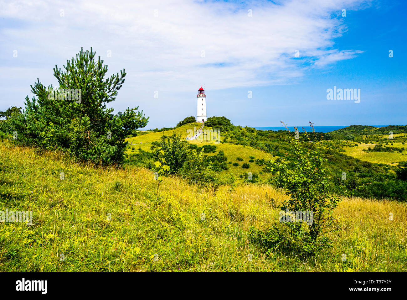 Island Hiddensee, Germany Stock Photo - Alamy