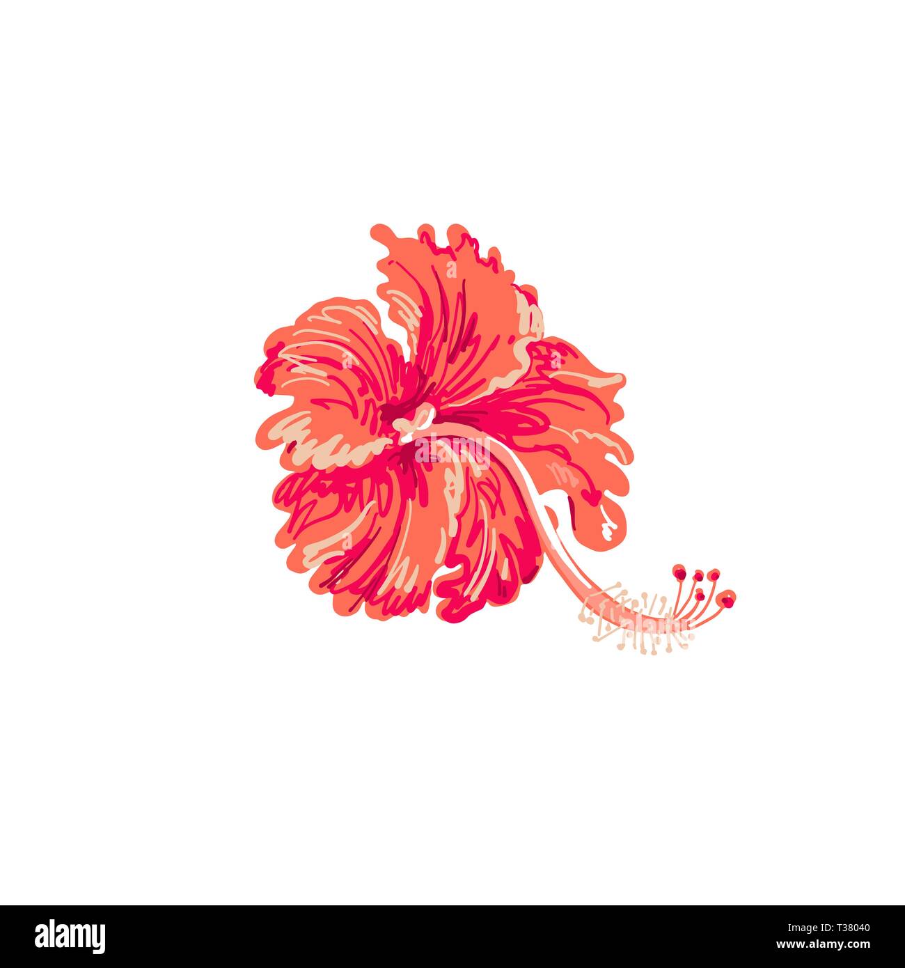 icon symbol of egyptian hibiscus flower, hand made drawing vector ...