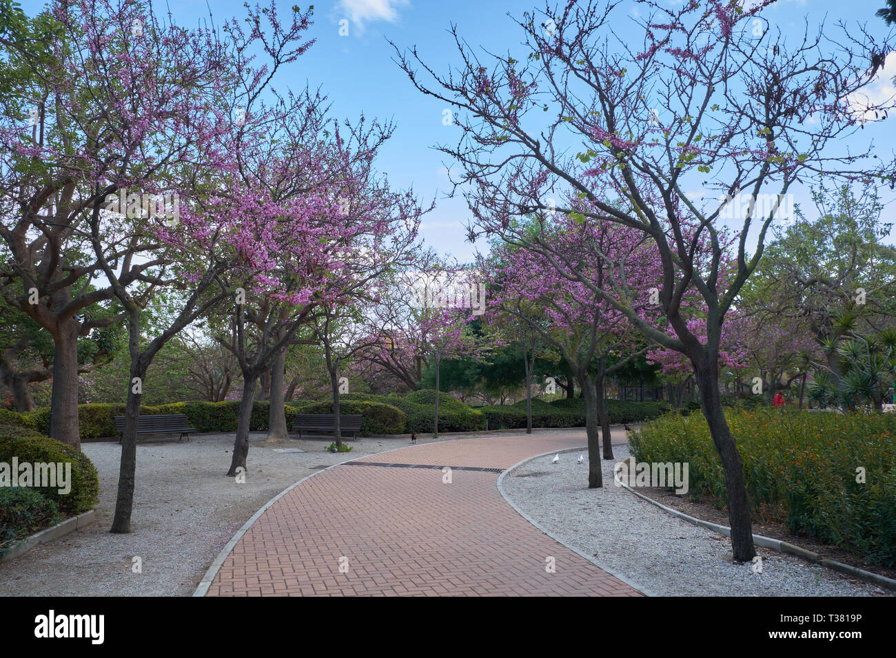 Parque la paloma hi-res stock photography and images - Alamy