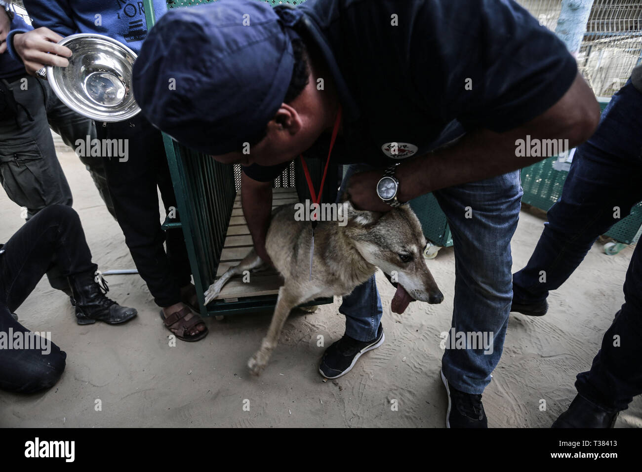 Human wolf conflict hi-res stock photography and images - Alamy