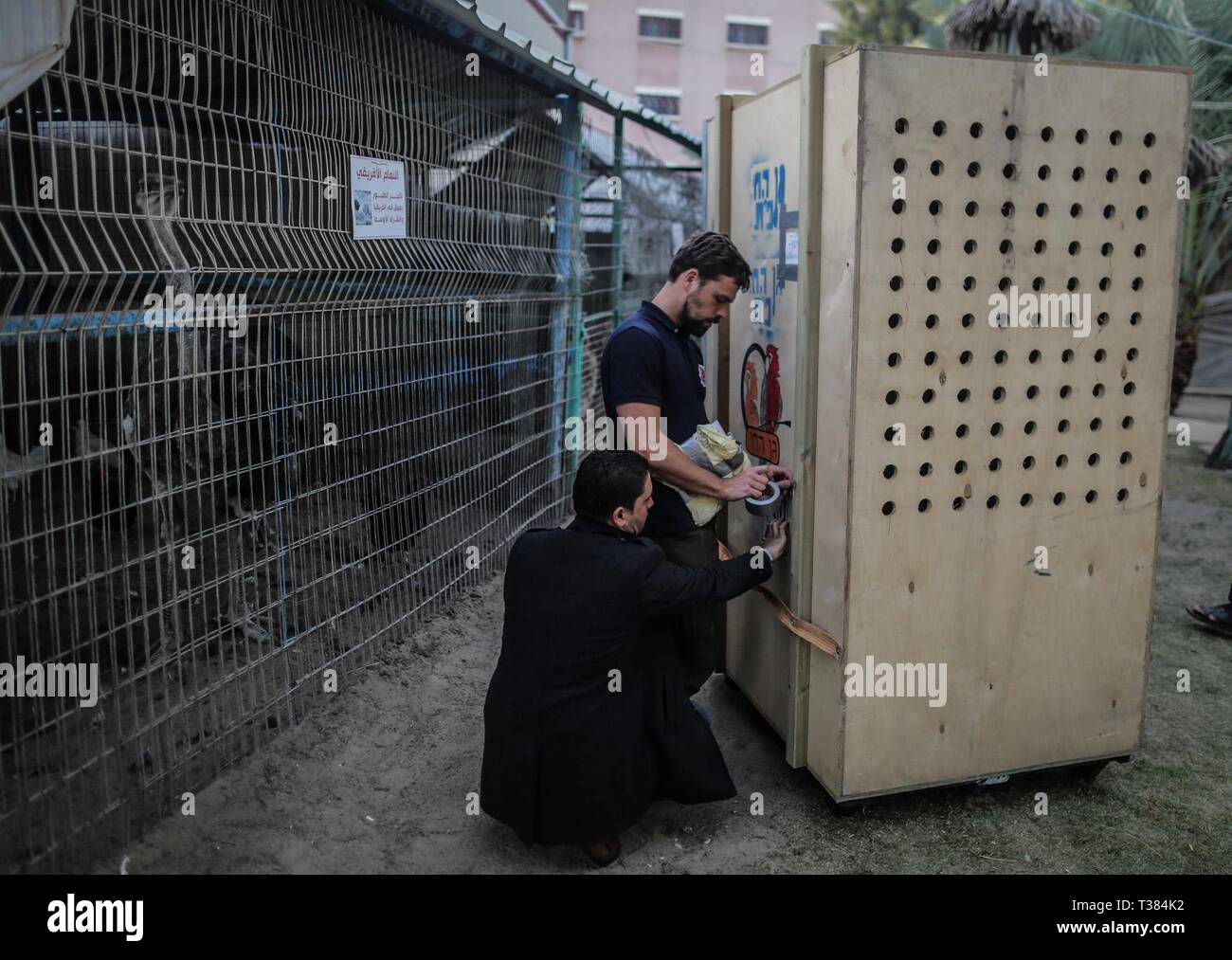 The Gaza Strip, The Gaza Strip, Palestine. 7th Apr, 2019. Preparation ...