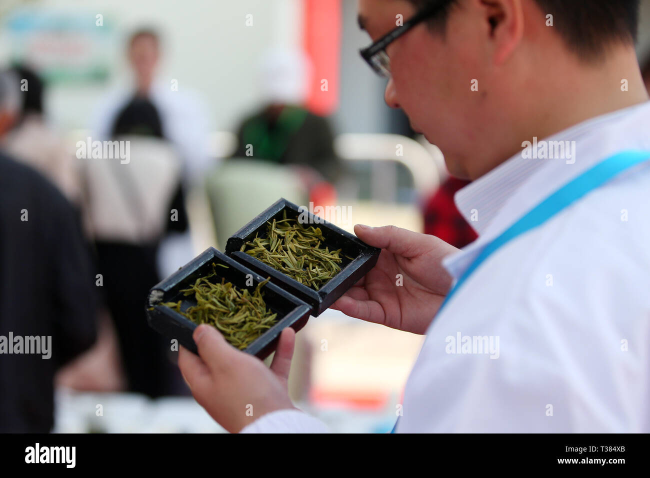 Huangshan, China's Anhui Province. 7th Apr, 2019. An expert examines ...