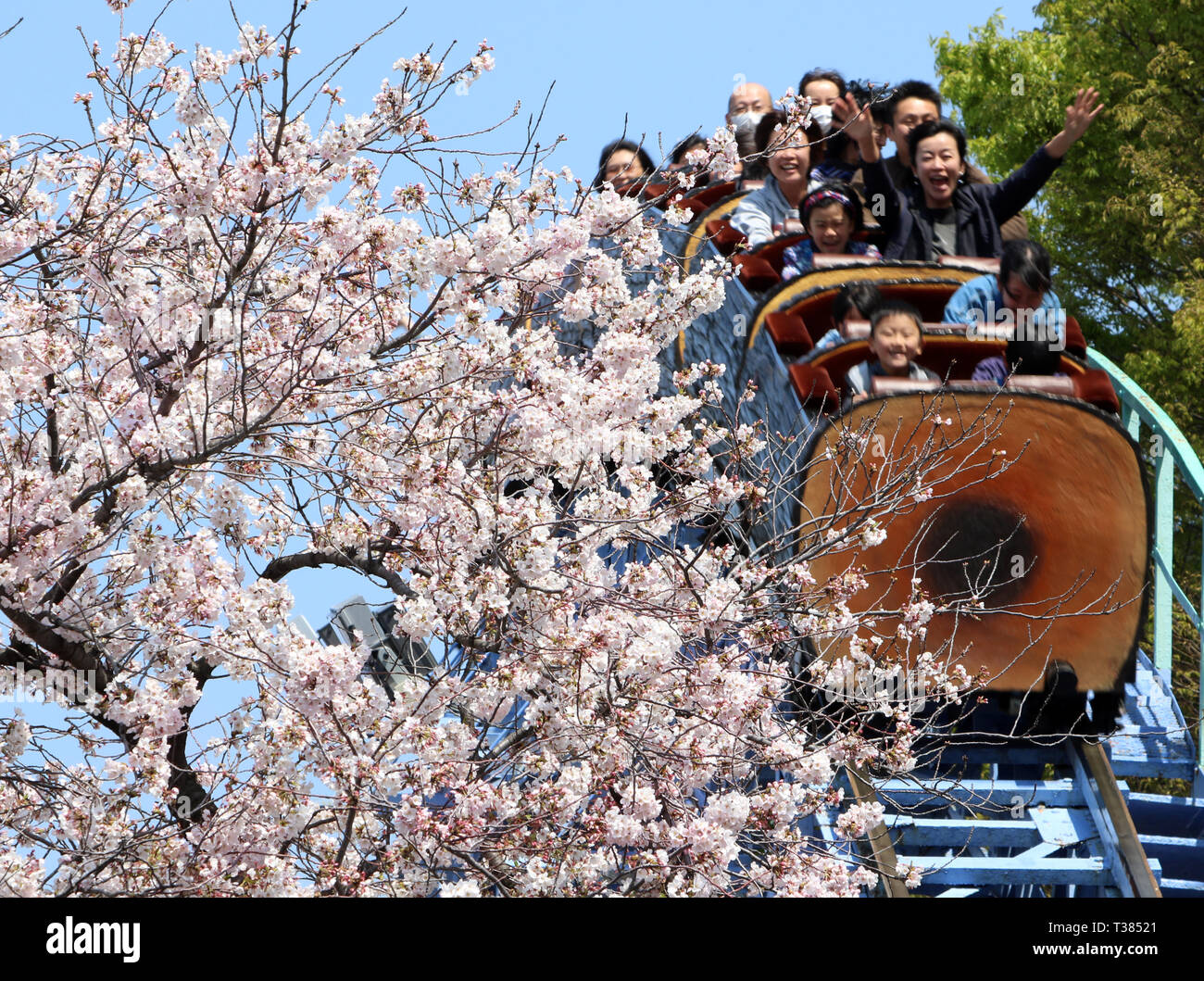 Tokyo, Japan. 6th Apr, 2019. People enjoy to see fully bloomed cherry ...